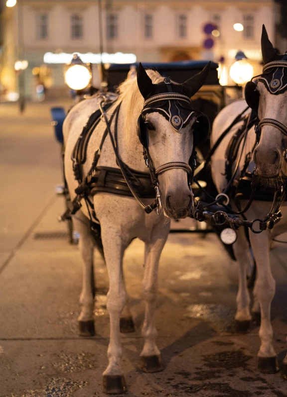 Städtetripp Wien - ab Leipzig/Halle Airport | Mitteldeutsche Flughafen AG